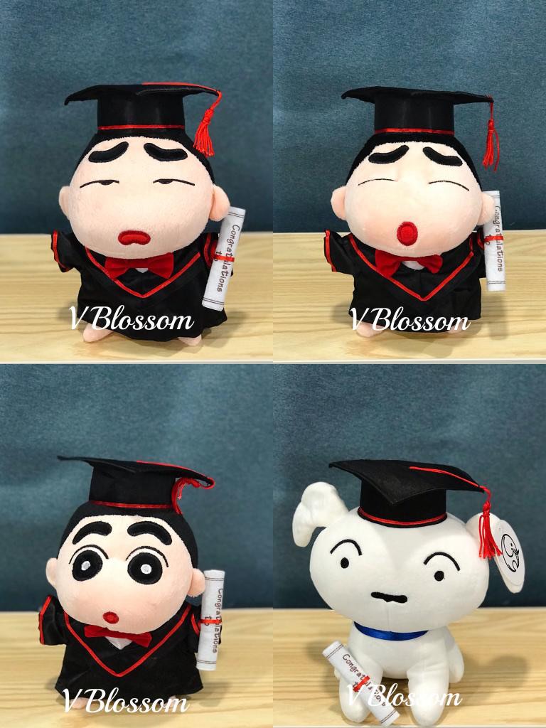 20cm Crayon Shin Chan & Shiro Graduation Bear Graduation Plushies ...