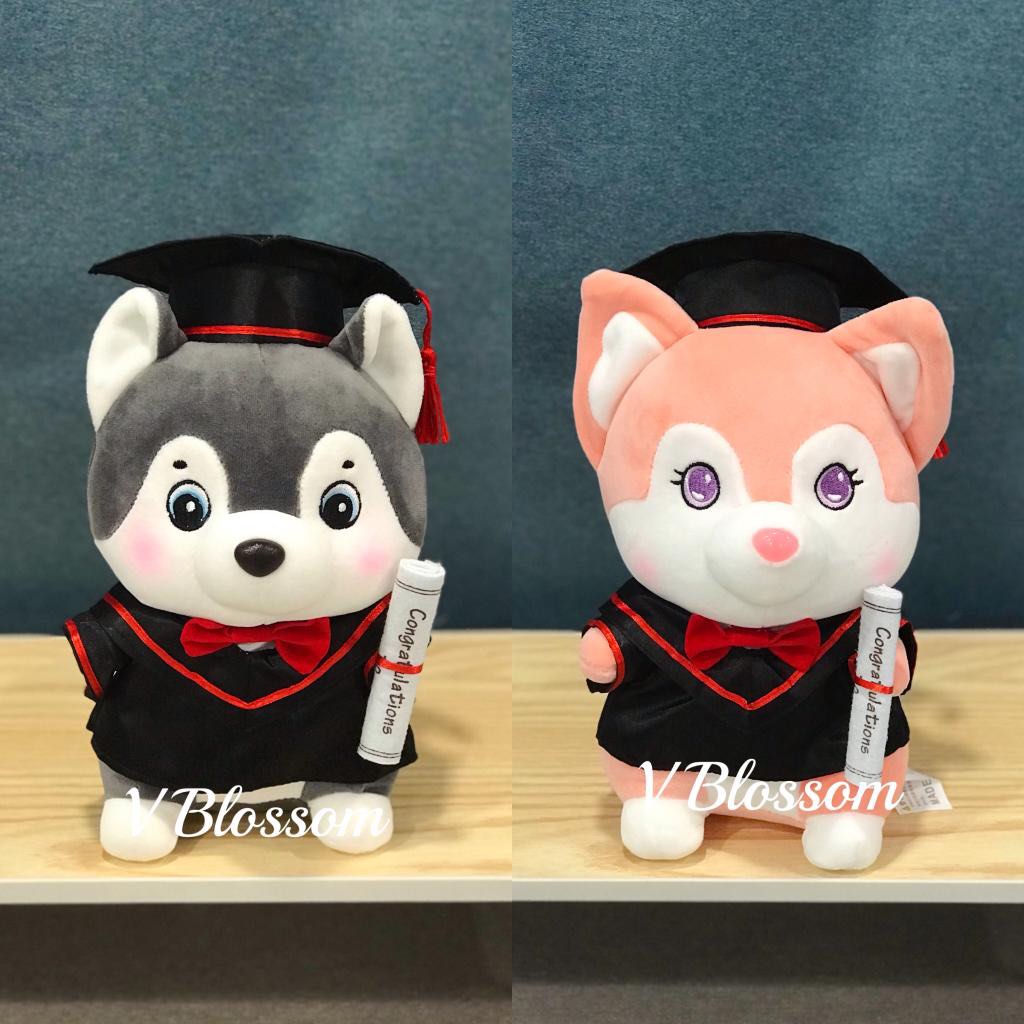 25cm Husky & Fox Graduation Bear Graduation Plushies Graduation Gift ...