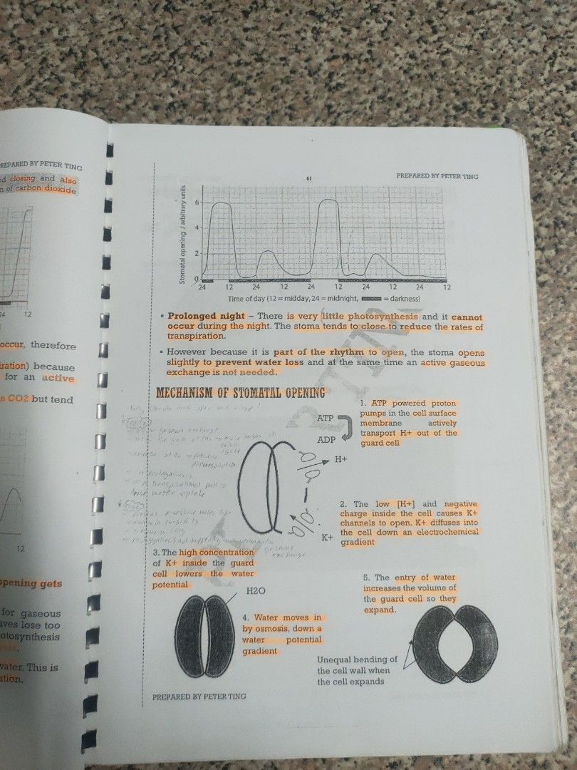 A2 LEVEL BIOLOGY NOTES FOR CIAE A-LEVELS, Hobbies & Toys, Books ...