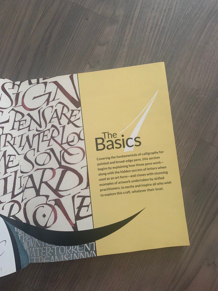 Complete Calligraphy Skills by Vivien Lunniss on Carousell