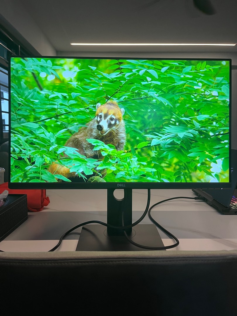 DELL P2719H 27" inch FHD IPS Monitor Height Swivel Rotate Landscape ...