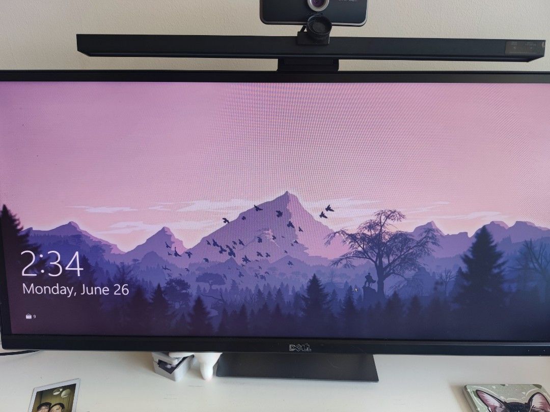 Dell ultrawide monitor U2913WMt, Computers & Tech, Parts & Accessories ...