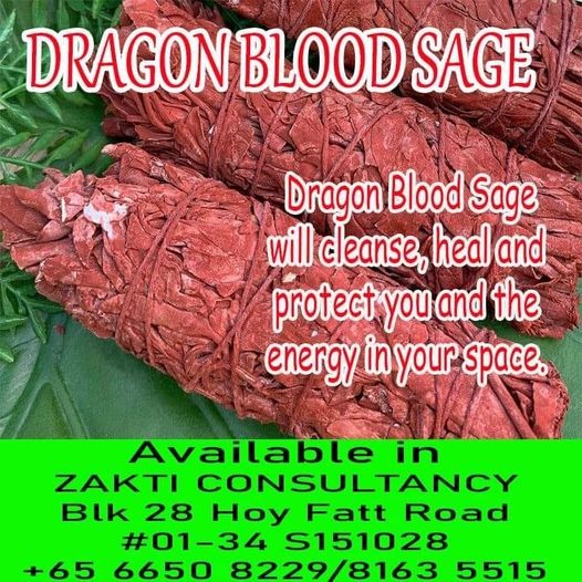 DRAGON BLOOD SAGE, Hobbies & Toys, Memorabilia & Collectibles ...