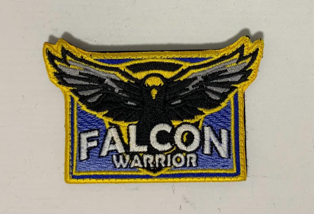 Falcon warrior patch, Hobbies & Toys, Memorabilia & Collectibles ...