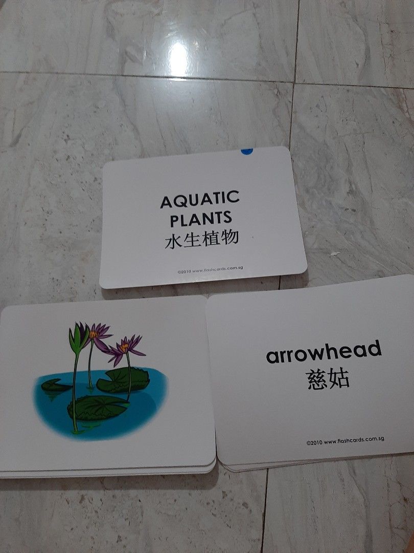 Flashcard aquatic plants, Buku & Alat Tulis, Buku Anak-Anak di Carousell