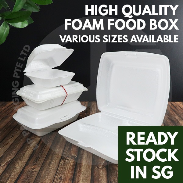 Foam Lunch Boxes / Styrofoam Food Box / Lunchbox, Furniture & Home ...