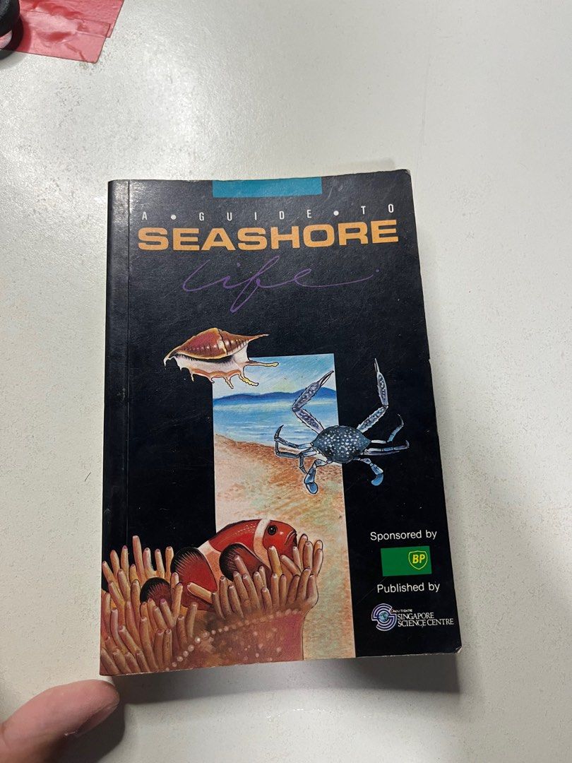Free seashore book, Hobbies & Toys, Books & Magazines, Children's Books ...