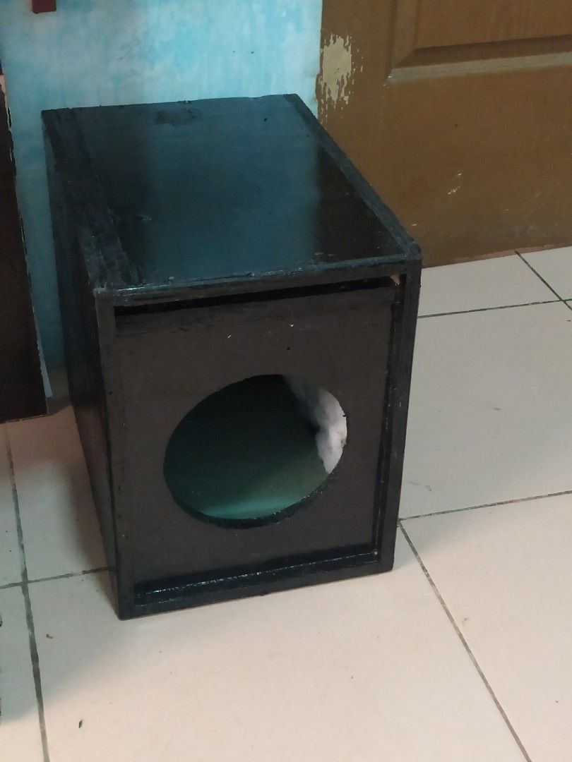 Kenwood Subwoofer 8 Inch L Ported Box on Carousell