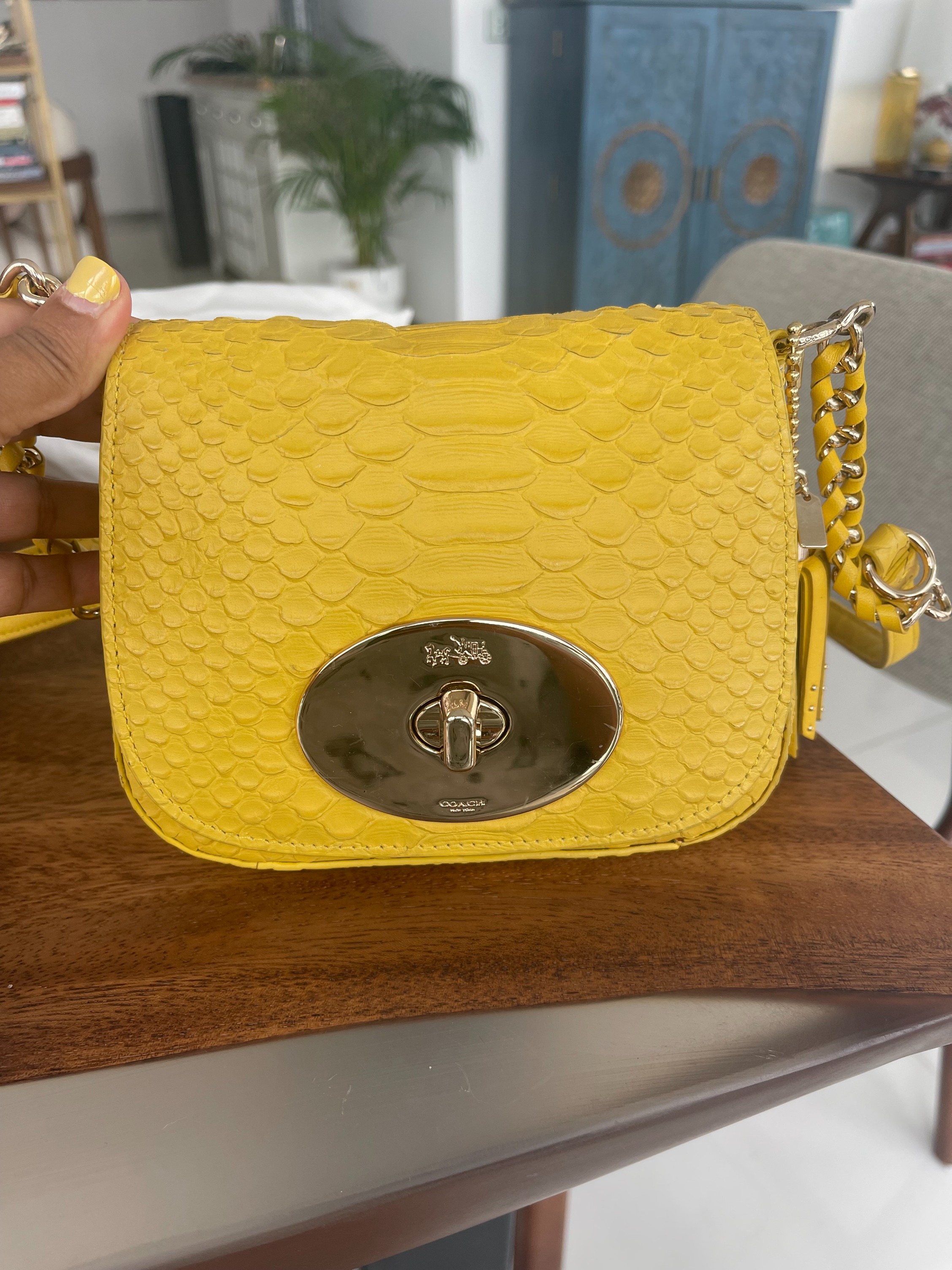 COACH LEATHER CROSS-BODY BAG IN PYTHON EMBOSSED LEATHER. Limited ...