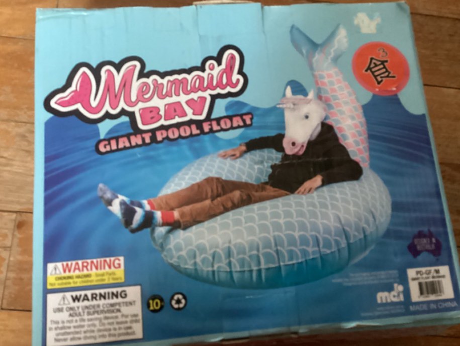 Mermaid bay pool float, Hobbies & Toys, Toys & Games on Carousell