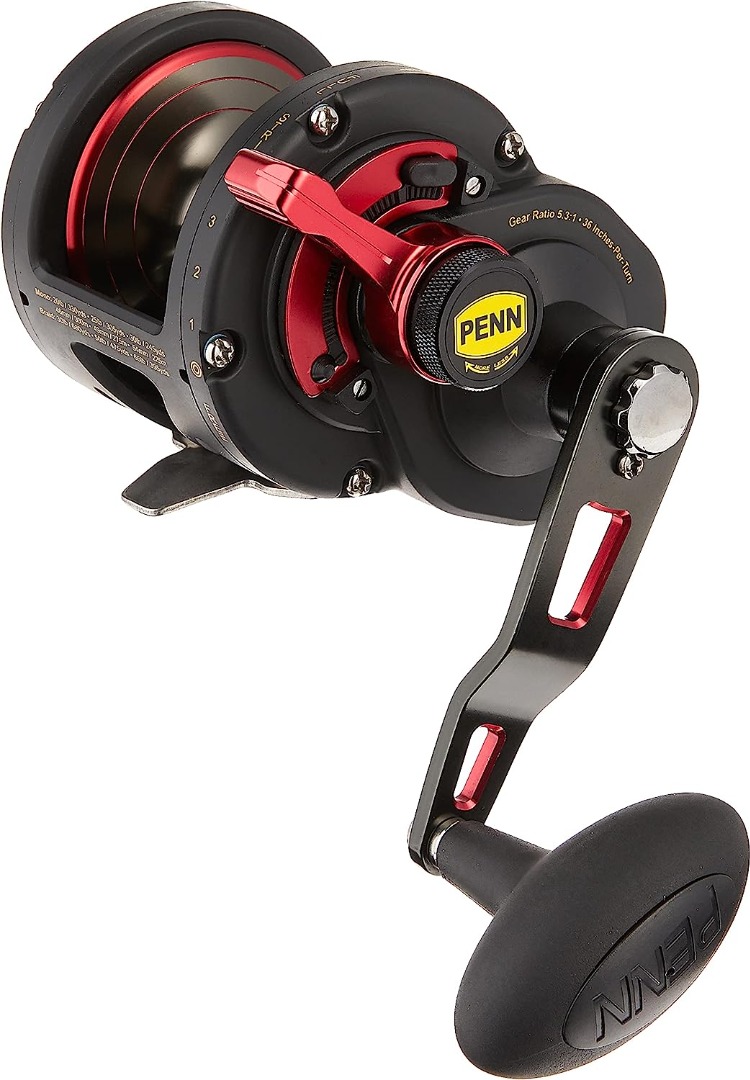Penn Fathom Lever Drag 25nld fishing Lever Drag Reel, Sports Equipment ...