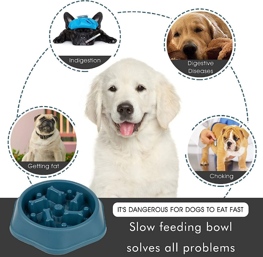 Pet Anti Choke Bowl Cat Dog Puppy Feeder Slow Eating Bowl Pet Bowl ...
