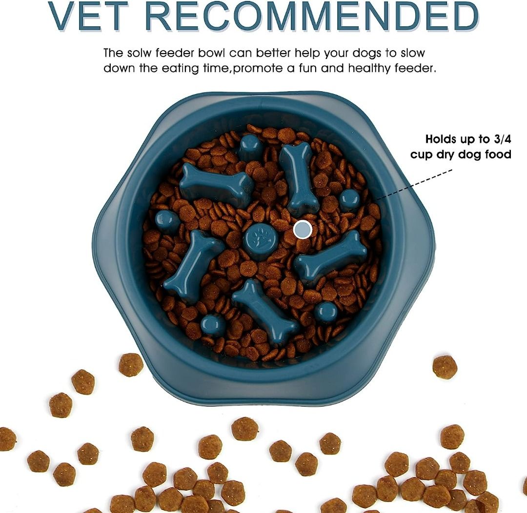 Pet Anti Choke Bowl Cat Dog Puppy Feeder Slow Eating Bowl Pet Bowl ...