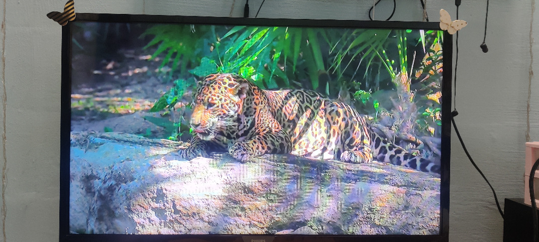 PHILIPS 32INCH SMART TV, TV & Home Appliances, TV & Entertainment, TV ...