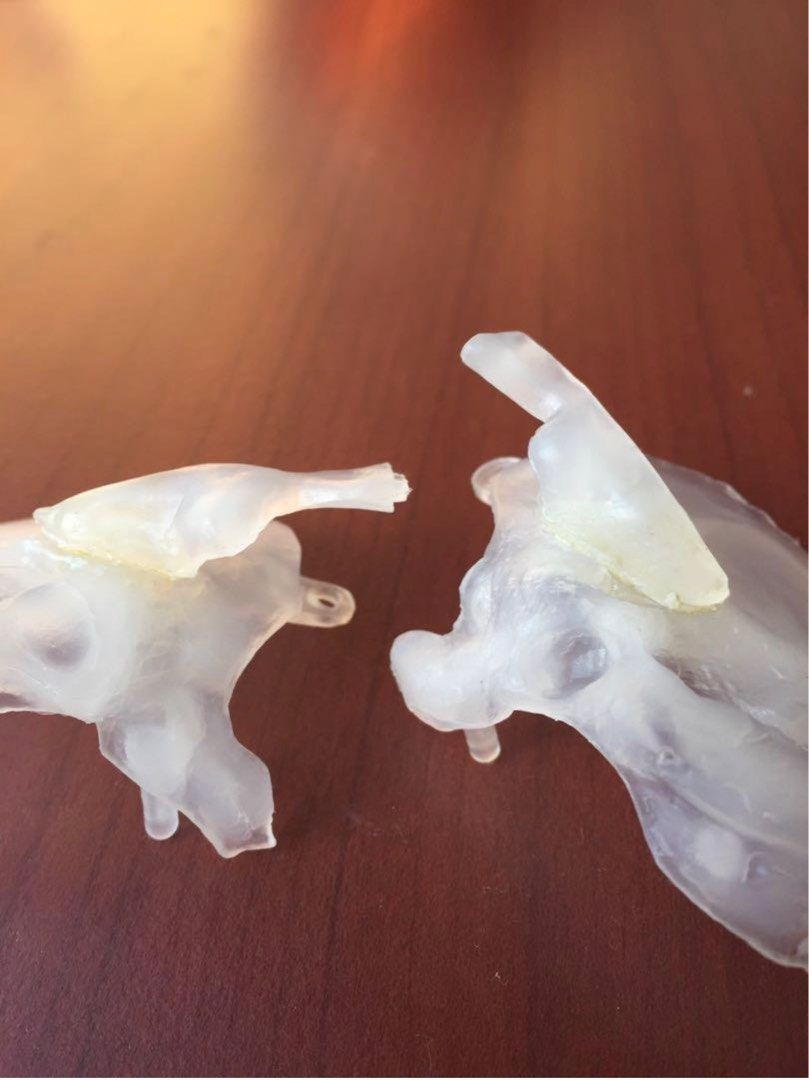 Smartlab squishy human body & brain science kit, Hobbies & Toys, Toys ...