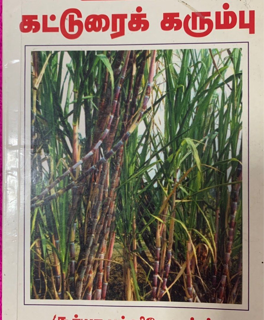 Tamil Model Essay Writing, Hobbies & Toys, Books & Magazines, Textbooks ...