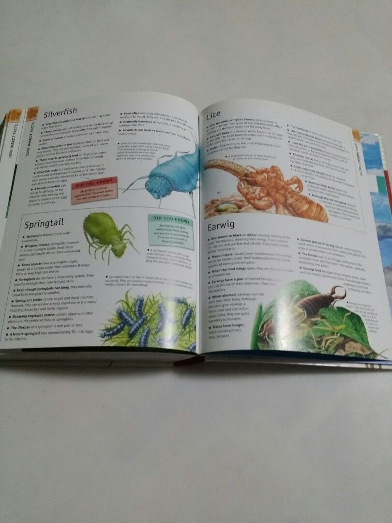 6000 Amazing Facts - Miles Kelly, Hobbies & Toys, Books & Magazines ...