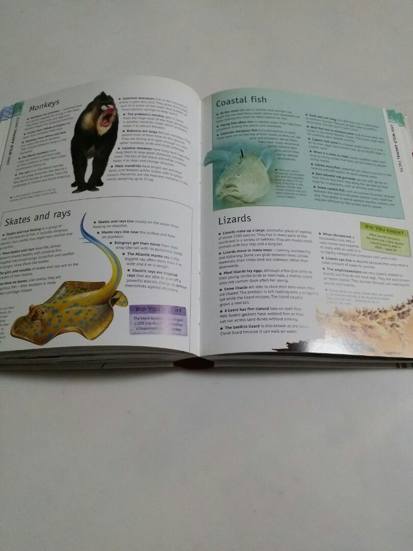 6000 Amazing Facts - Miles Kelly, Hobbies & Toys, Books & Magazines ...