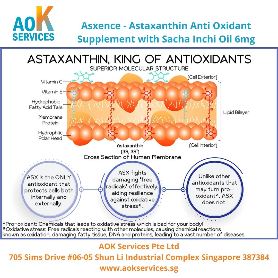 Asxence - Astaxanthin Anti Oxidant Supplement with Sacha Inchi Oil 60 ...