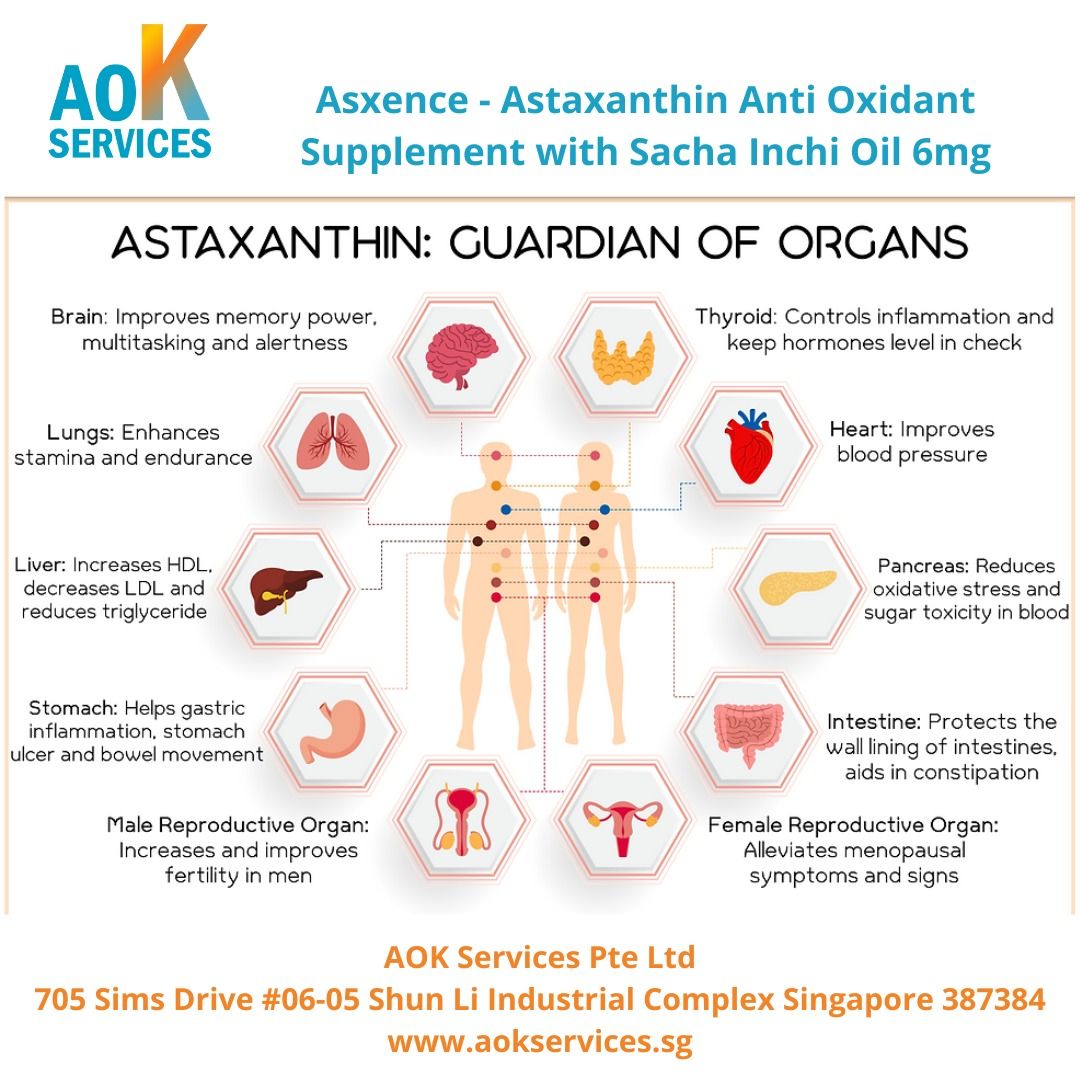 Asxence - Astaxanthin Anti Oxidant Supplement with Sacha Inchi Oil 60 ...