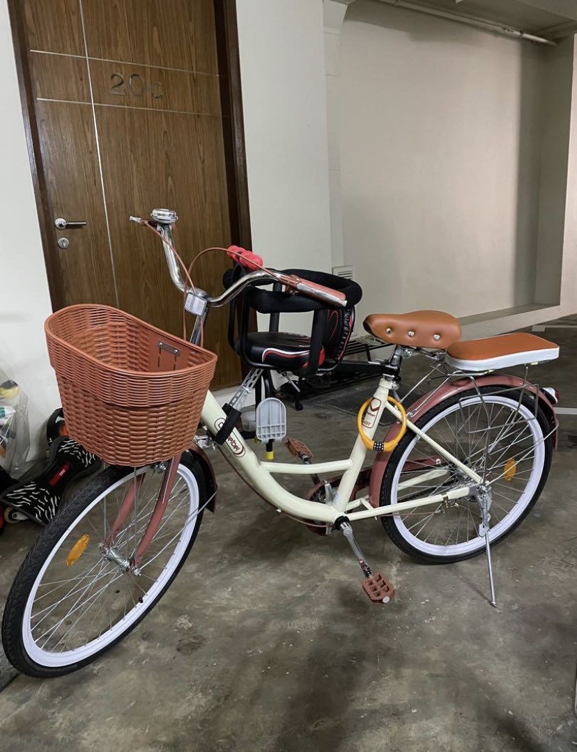 Brown city bike, Sports Equipment, Bicycles & Parts, Bicycles on Carousell