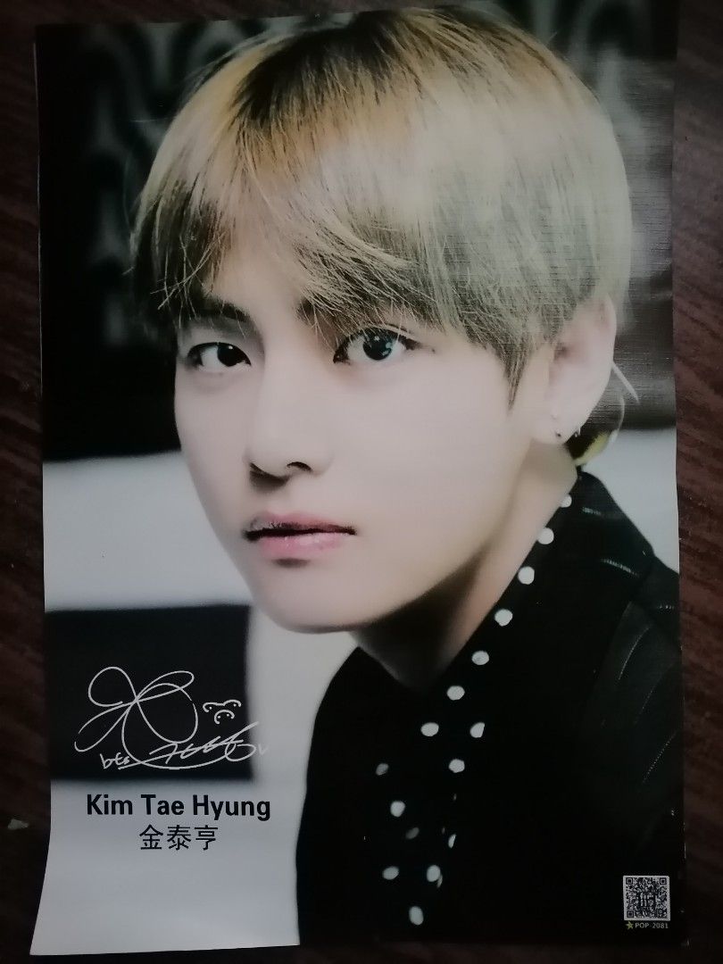 BTS V Kim Tae Hyung Portrait DNA & Spring Day Poster on Carousell
