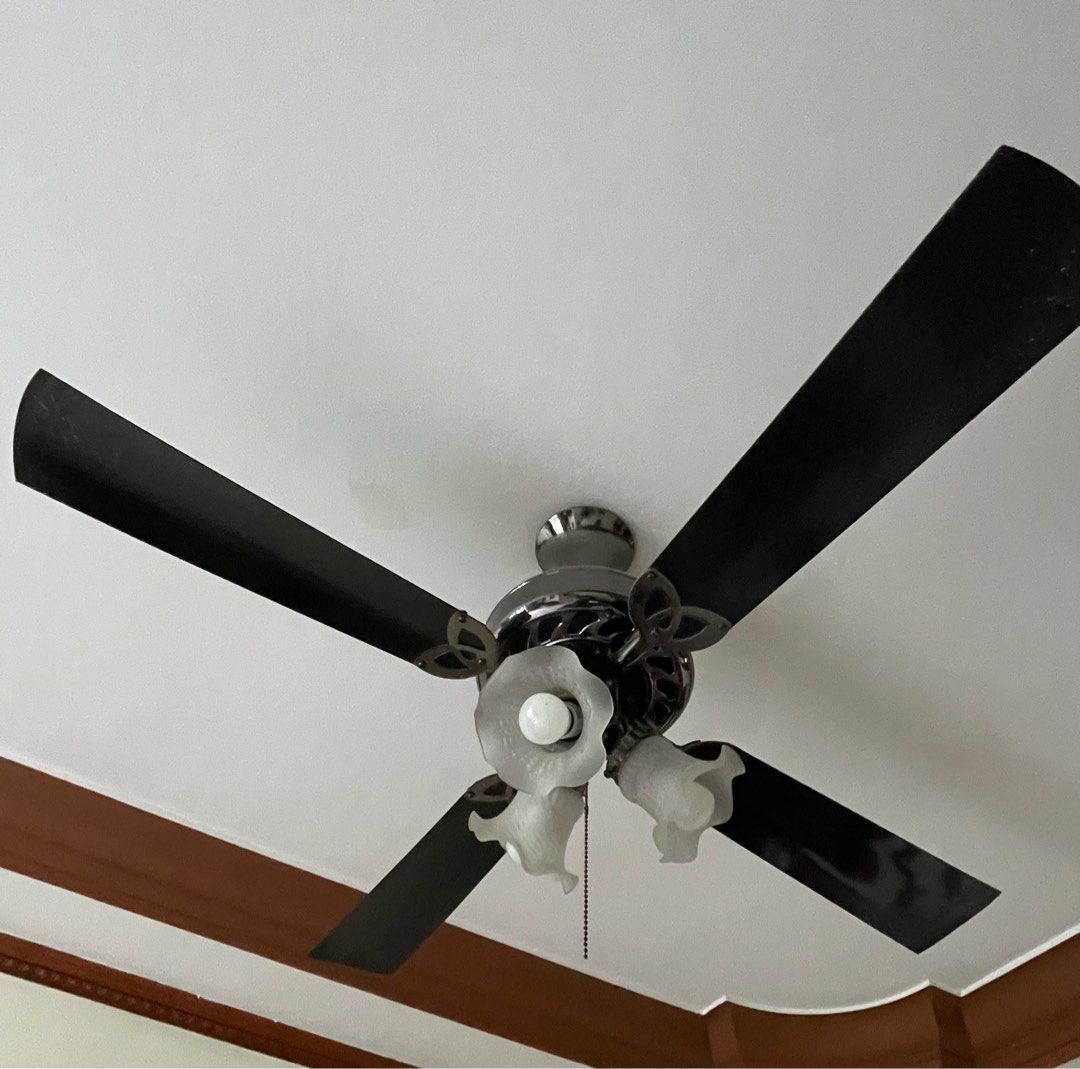 Celing fan with led lights, Furniture & Home Living, Lighting & Fans ...