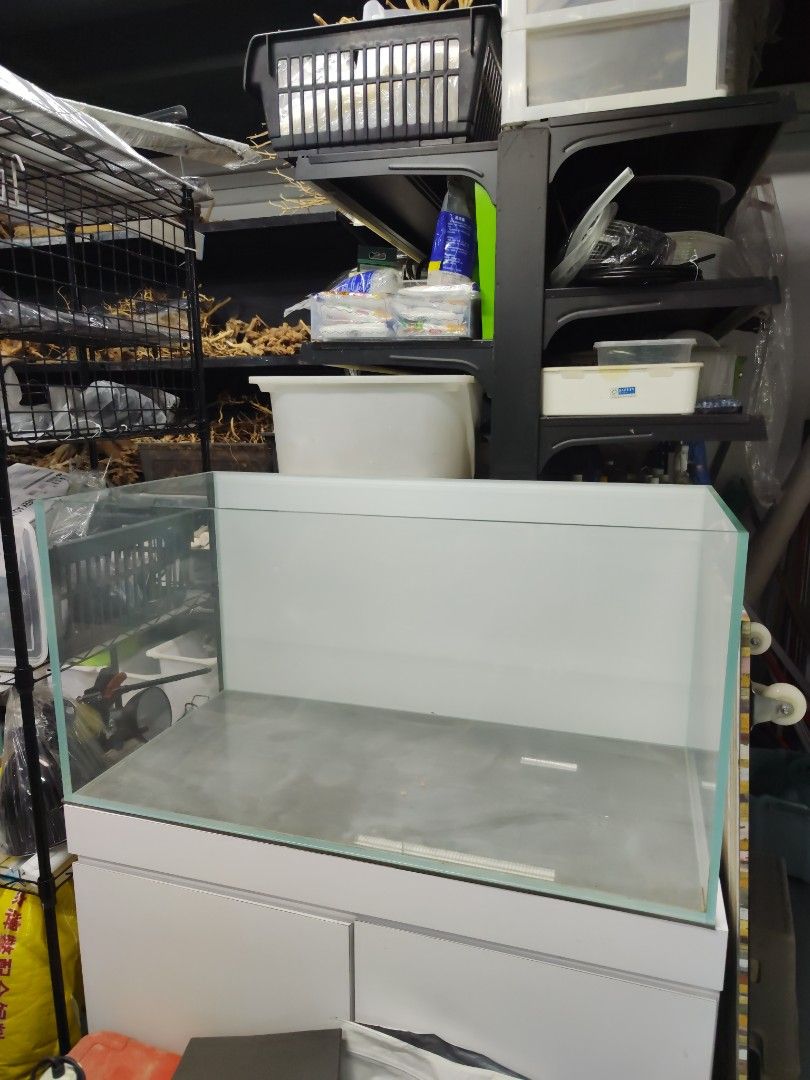 Crystal glass tank set, Pet Supplies, Homes & Other Pet Accessories on ...