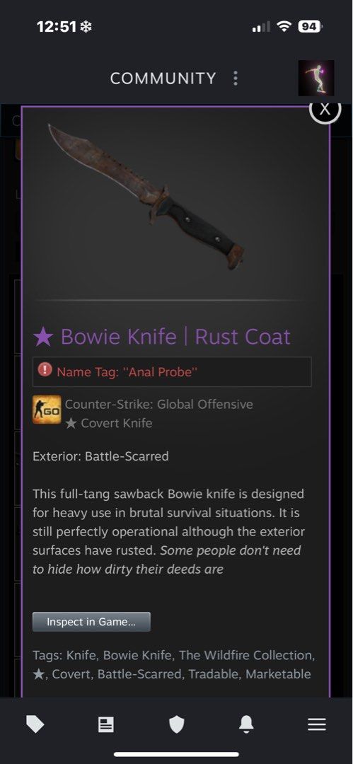 CSGO Bowie Knife | Rust Coat, Video Gaming, Gaming Accessories, In-Game ...