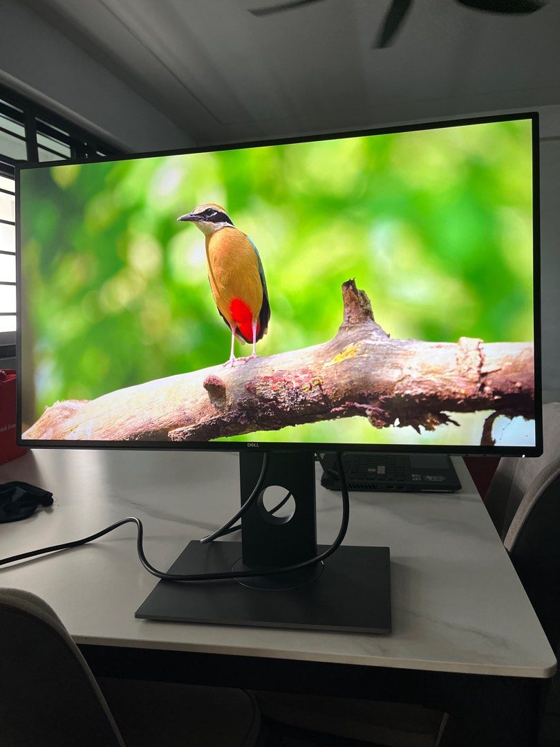 DELL UltraSharp U2718Q 27" inch 4K UHD 3840 x 2160 IPS Professional ...