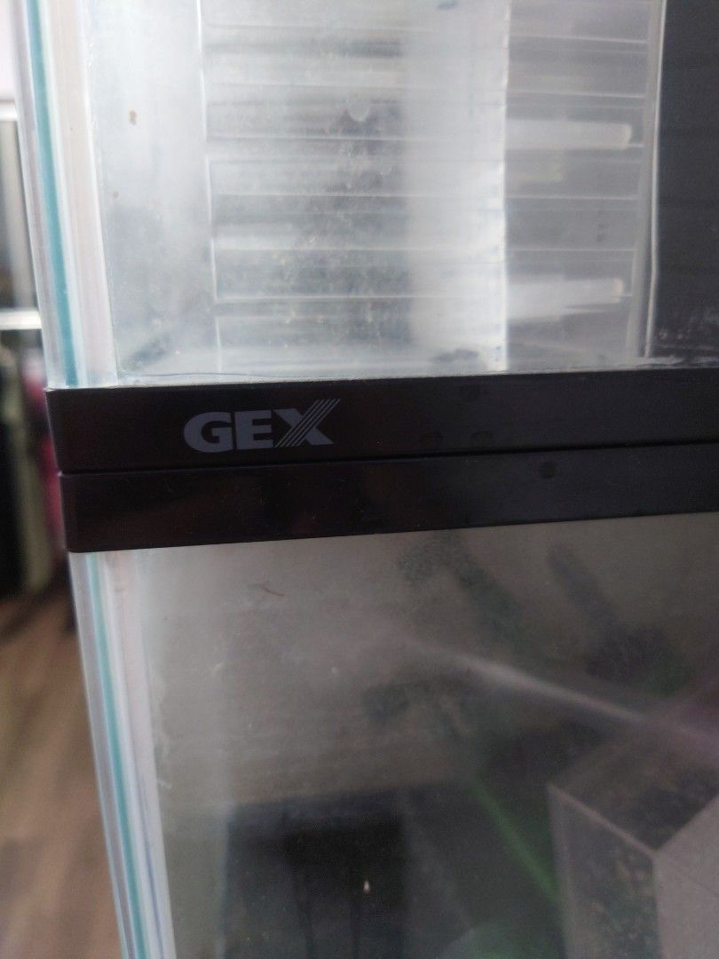 Gex fish tank, Pet Supplies, Homes & Other Pet Accessories on Carousell