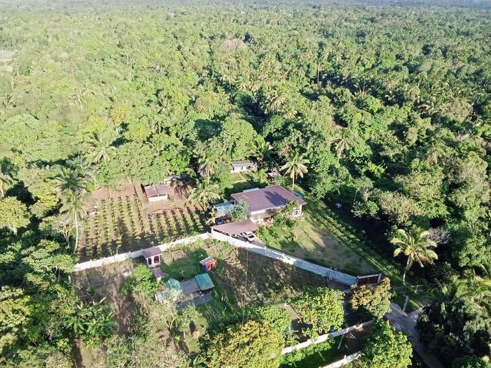 Indang Cavite Farm house with lot area of 4,800sqm. P38 Million Clean ...