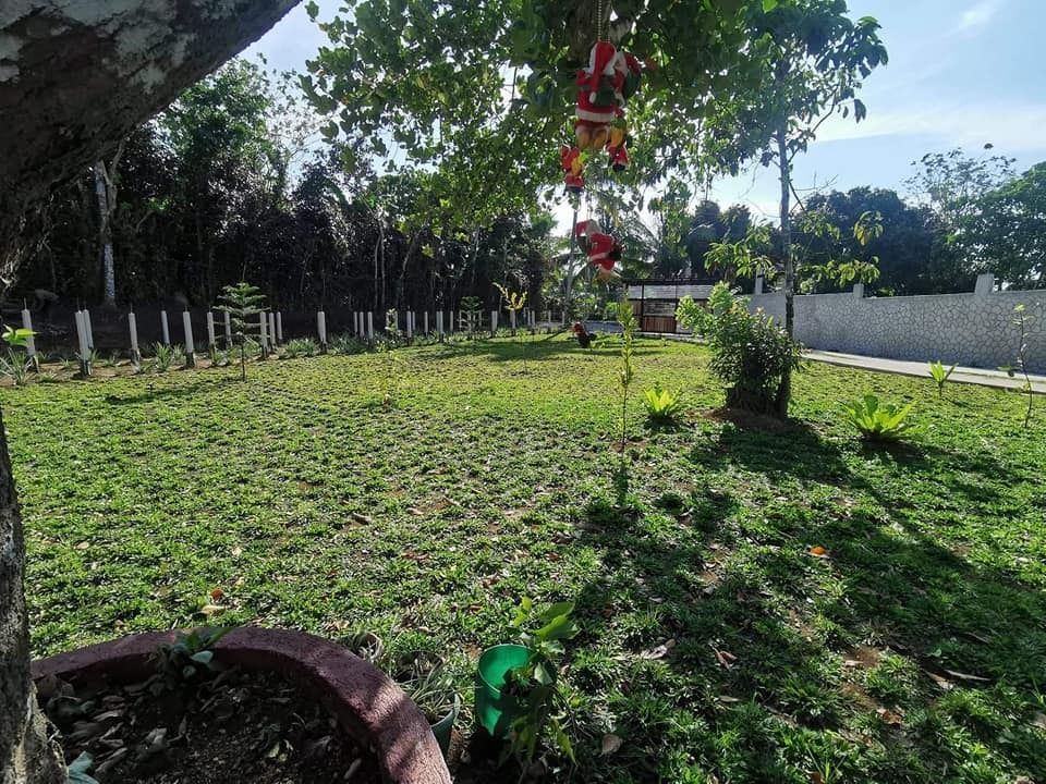 Indang Cavite Farm house with lot area of 4,800sqm. P38 Million Clean ...