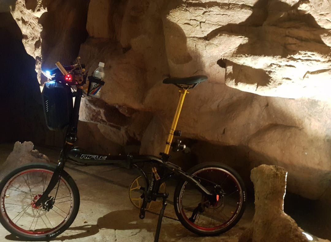 Limited Edition Rifle Foldable bike fully Mod (GOLD-BLACK), Sports ...