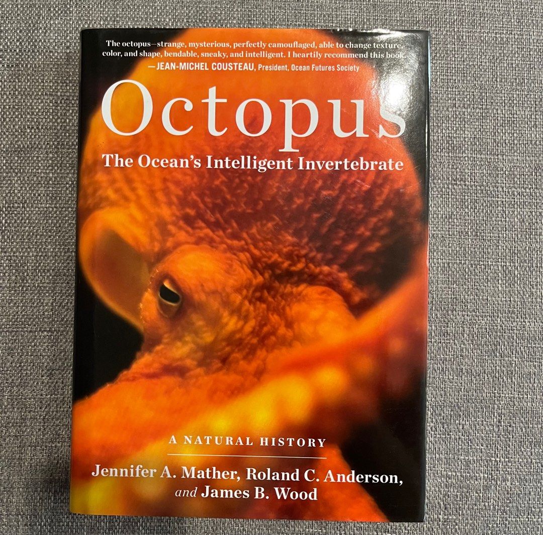 Octopus: the ocean’s intelligent invertebrate Book, Hobbies & Toys ...