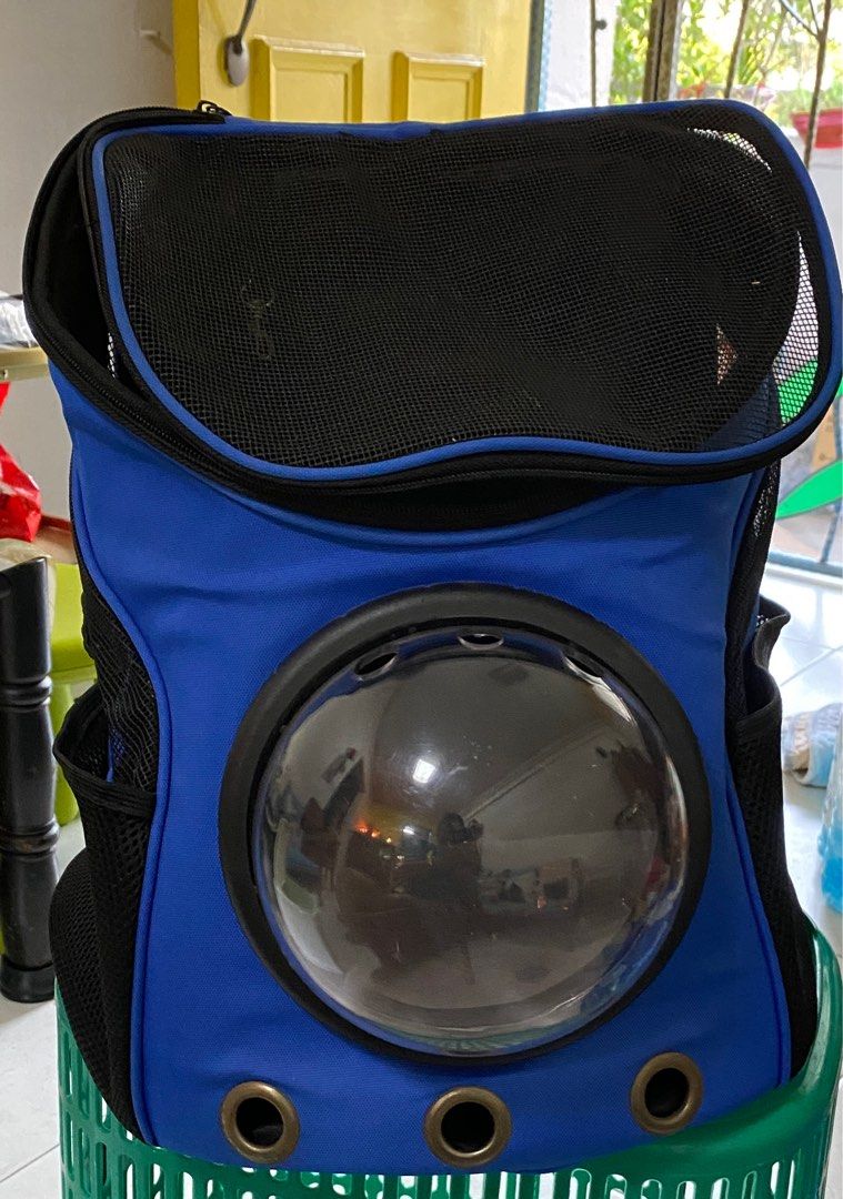 Rabbit backpack carrier, Pet Supplies, Homes & Other Pet Accessories on ...