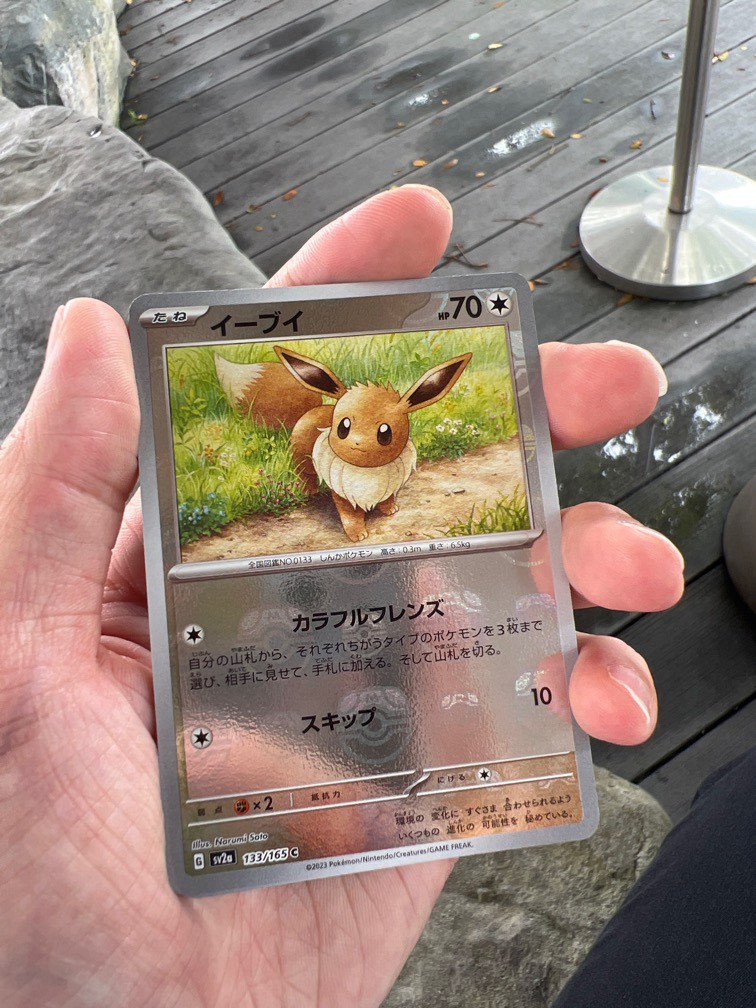 Eevee master ball - 151 pokemon, Hobbies & Toys, Toys & Games on Carousell