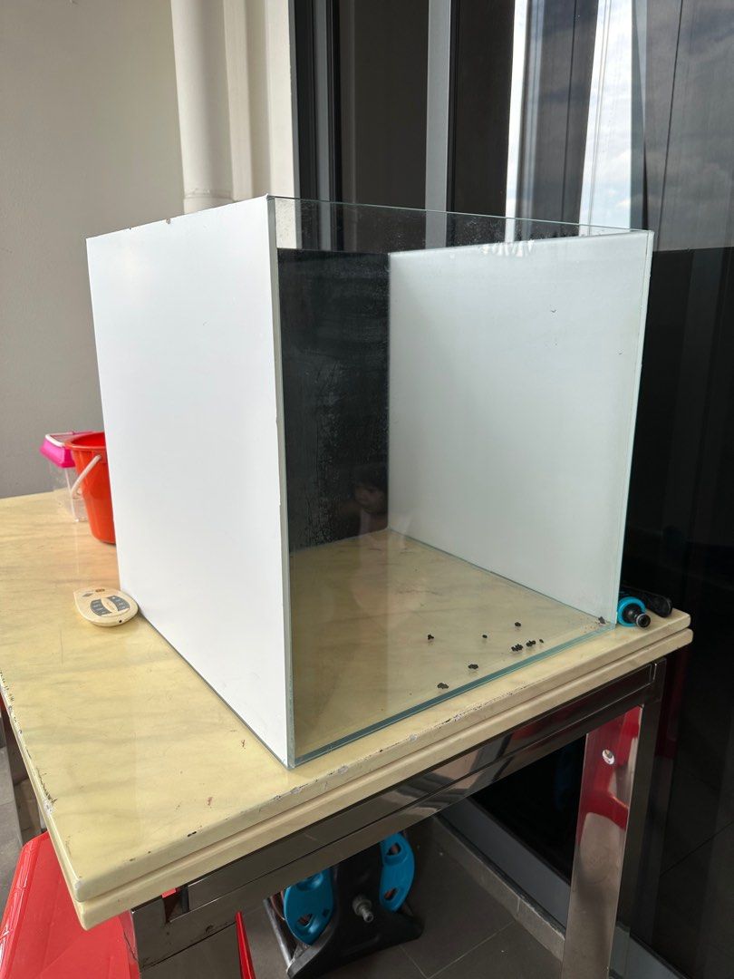 Fish Tank / 1ft cube tank / 1.5 ft cube tank / 1ft tank / 2ft tank, Pet ...