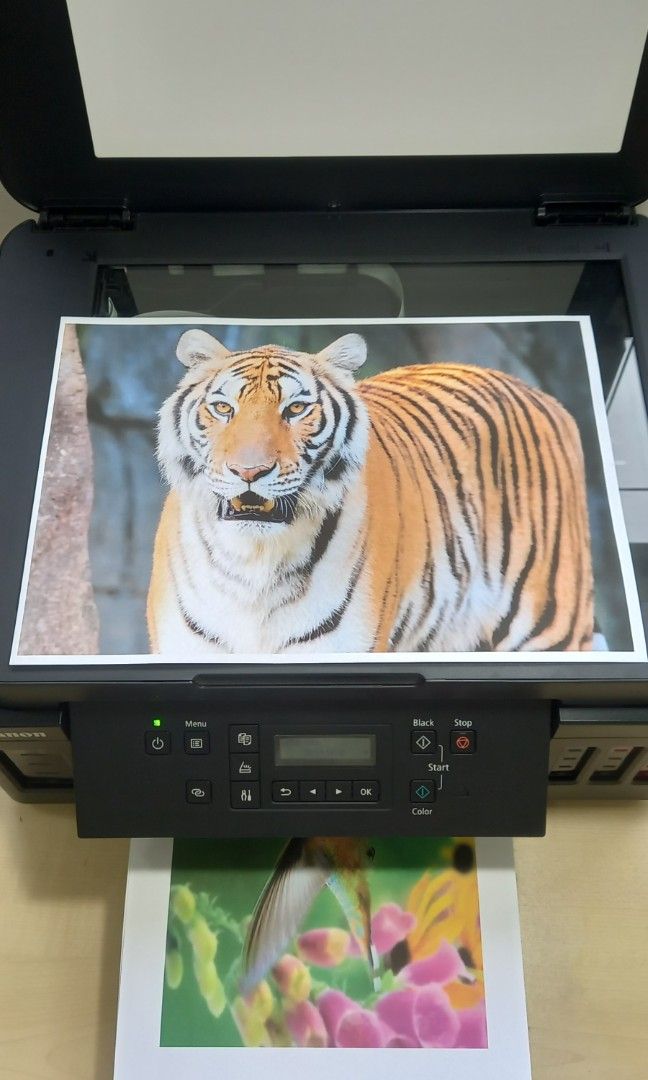 Canon Printer G6070 System Tank ( all ink at high level), Computers ...