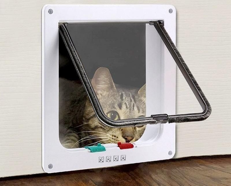 Cat access door - non cat cage condo litter sand tofu carrier food, Pet ...