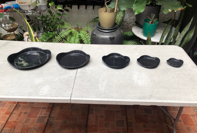 CATCH PLATES FOR POTS & PLANTERS on Carousell