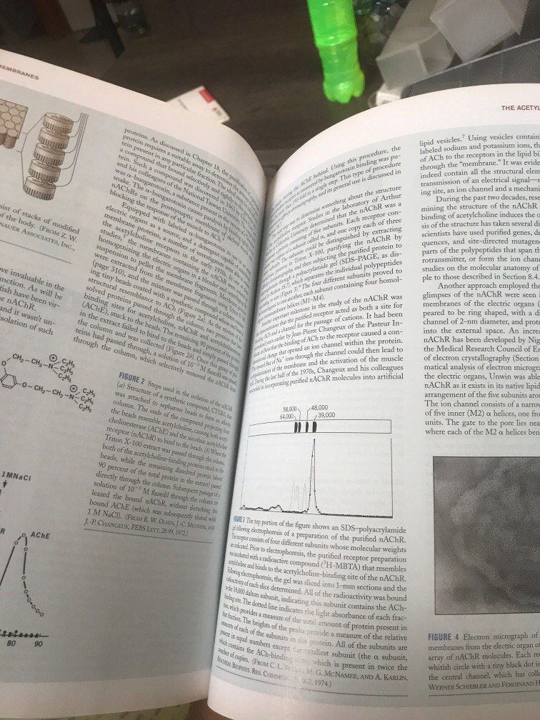 Cell Biology by Gerald Karp, Hobbies & Toys, Books & Magazines ...