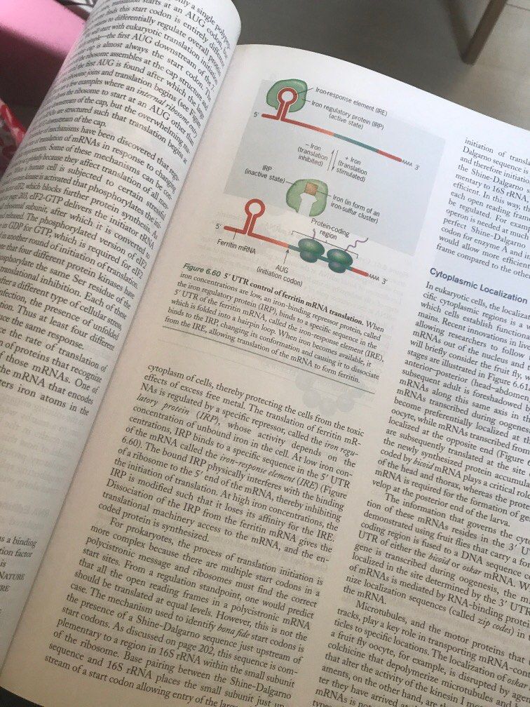 Cell Biology by Gerald Karp 7th Ed, Hobbies & Toys, Books & Magazines ...