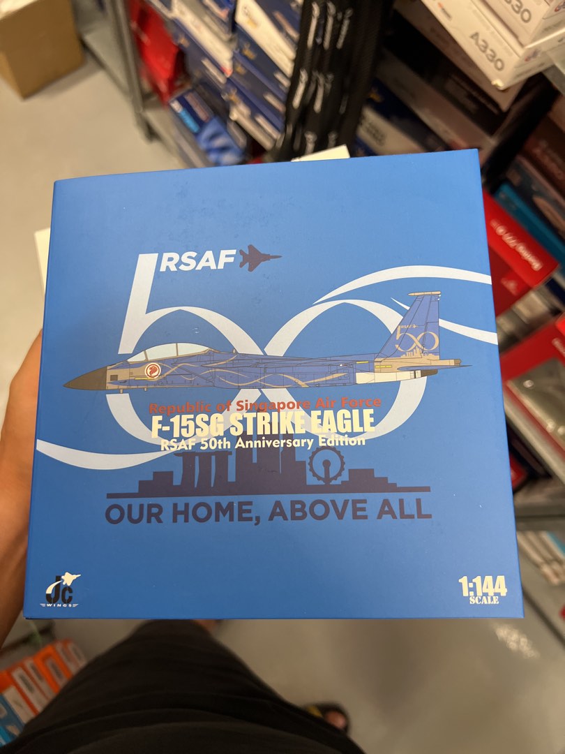 F-15SG Strike Eagle (RSAF50 Edition) [1:144 Scale], Hobbies & Toys ...