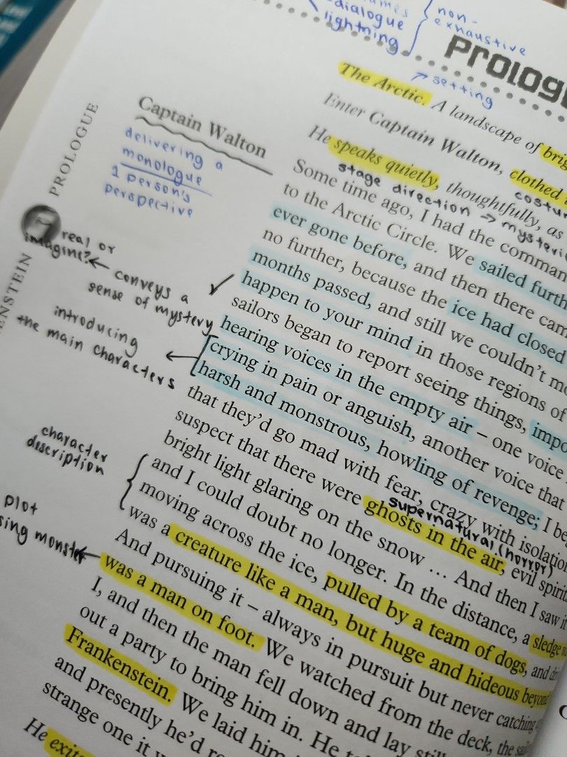 Frankenstein Playscripts, Hobbies & Toys, Books & Magazines, Fiction ...