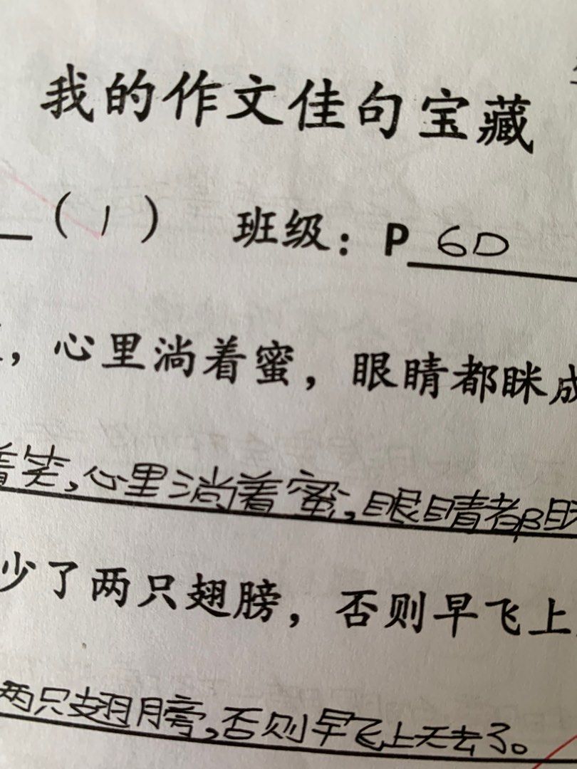 Primary HCL CL Guidebook + FOC materials, Hobbies & Toys, Books ...