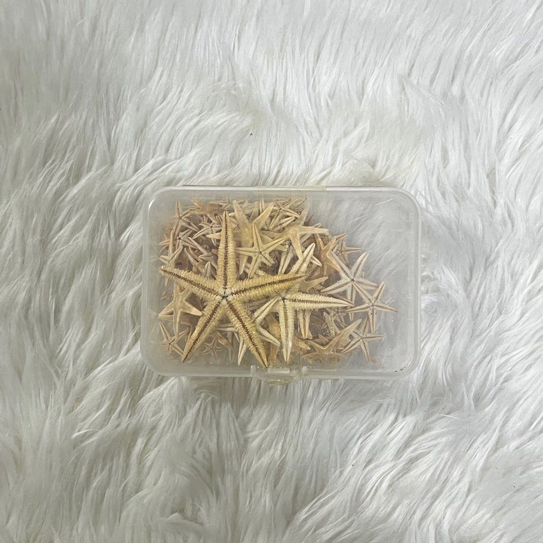 Shell Epoxy Resin on Carousell