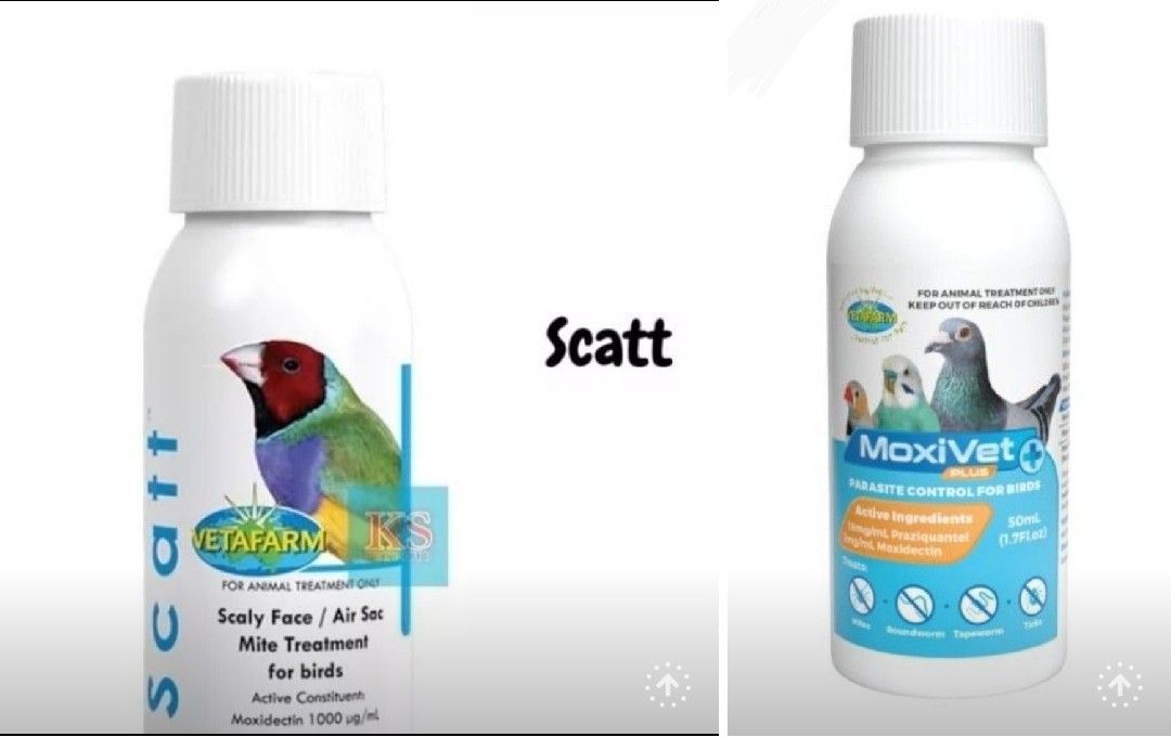Vetafarm Moxivet plus / Scatt Vetafarm 5ml for Air Sac mite / Scaly ...