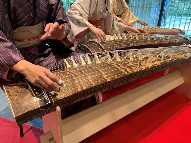 Vintage Tsume picks for Koto, Hobbies & Toys, Music & Media, Musical ...