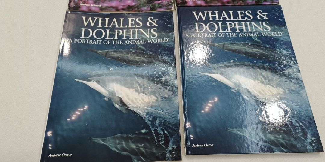 Whales & Dolphins, Kittens, Hobbies & Toys, Books & Magazines, Fiction ...